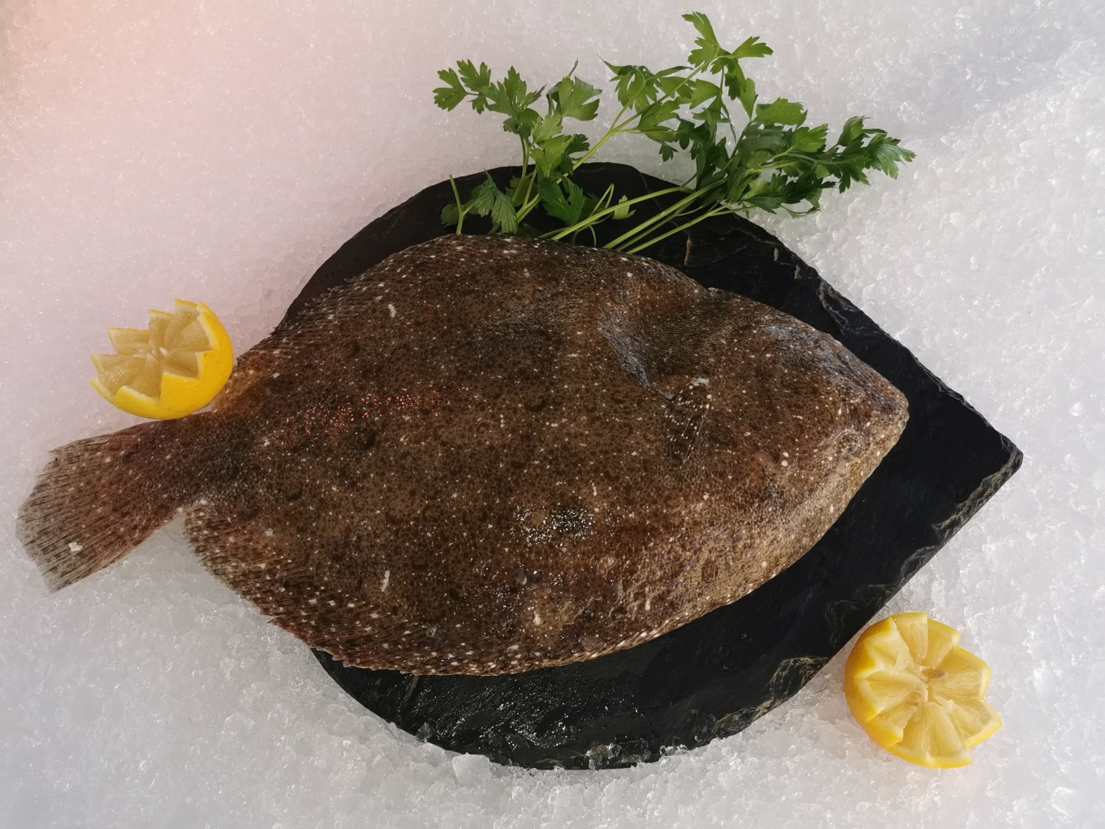 Barbue côtière 750g (2 pers /poisson) - Au Coin De Ma Rue